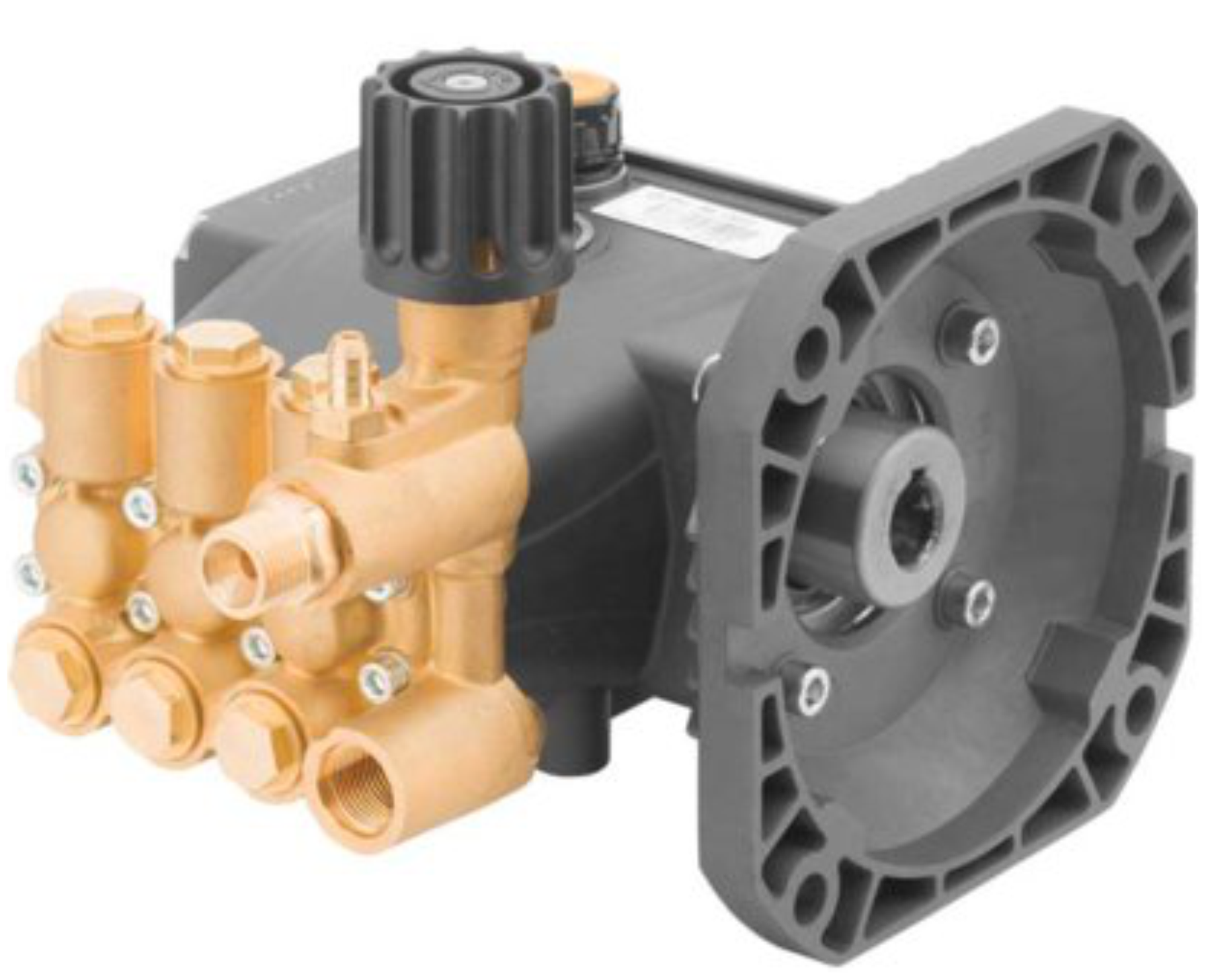 Yukon Internacional | Home